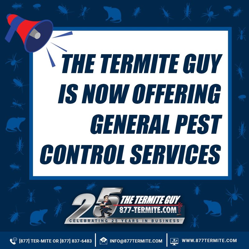 THE TERMITE GUY - Updated October 2025 - 80 Photos & 518 Reviews - 1440 ...