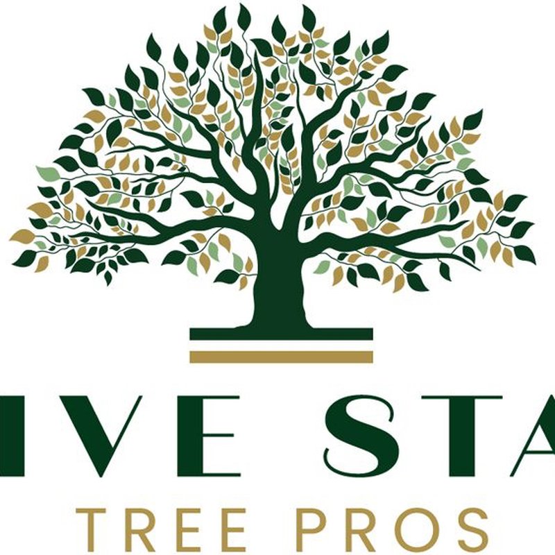 FIVE STAR TREE PROS - Updated November 2025 - 20 Photos - 32714 Prairie ...