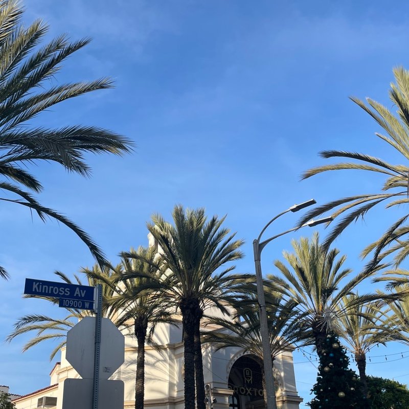 PRIMO DRIVING SCHOOL - Updated April 2025 - 112 Photos & 132 Reviews ...