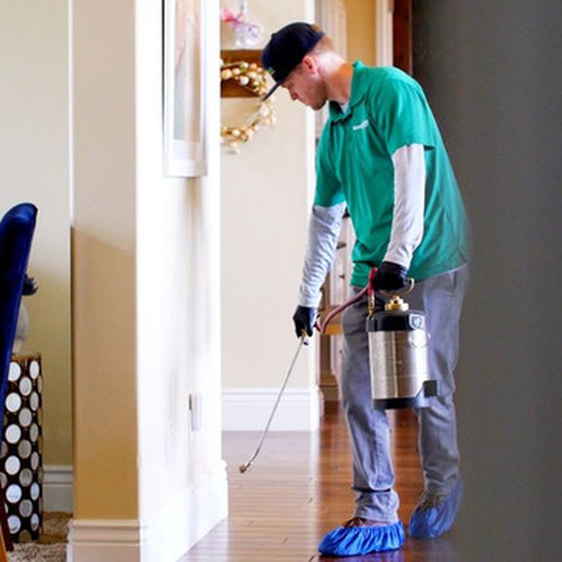 HOMESHIELD PEST CONTROL - Updated December 2025 - 199 Photos & 650 ...