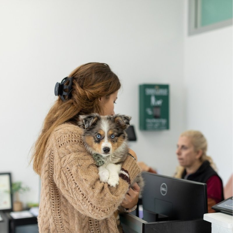 SF SPCA COMMUNITY VETERINARY CLINIC - Updated December 2025 - 11 Photos ...