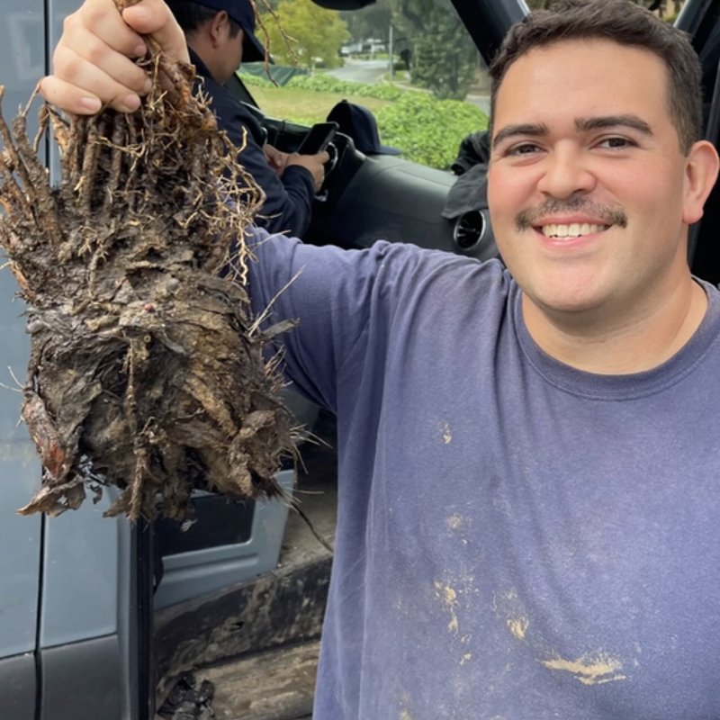 Trumbull Plumbing - Updated August 2025 - 23 Photos - Brea, California ...