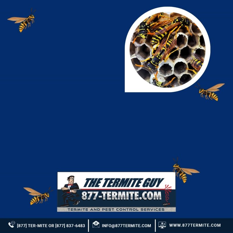 THE TERMITE GUY - Updated July 2024 - 69 Photos & 418 Reviews - 1440 S ...