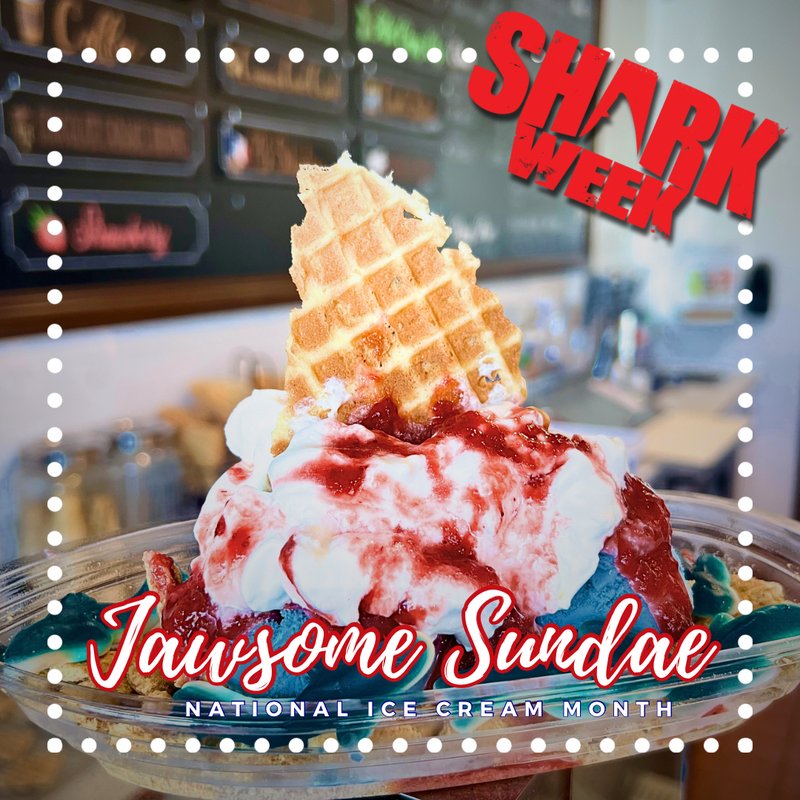 BLUE SCOOP CREAMERY - Updated October 2025 - 179 Photos & 121 Reviews ...