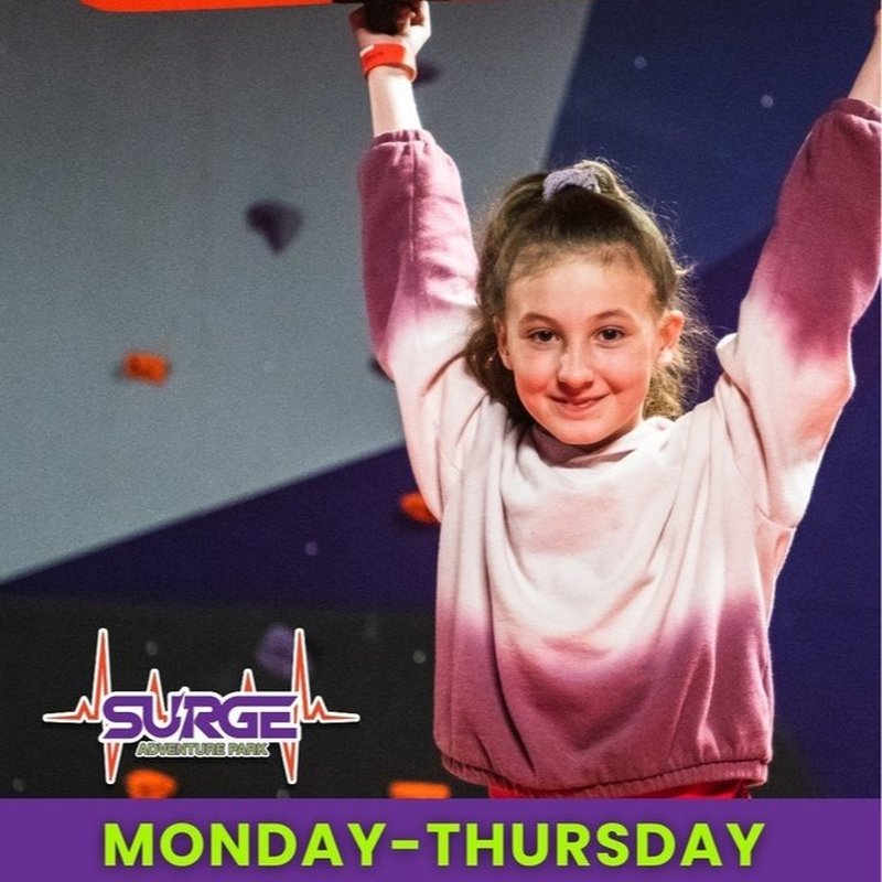 SURGE ADVENTURE PARK - Updated February 2026 - 99 Photos & 40 Reviews ...