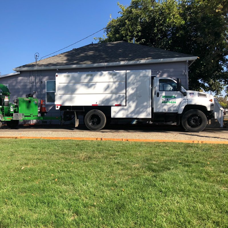 ENVIRONMENTAL TREE SERVICE - Updated July 2025 - 188 Photos & 188 ...