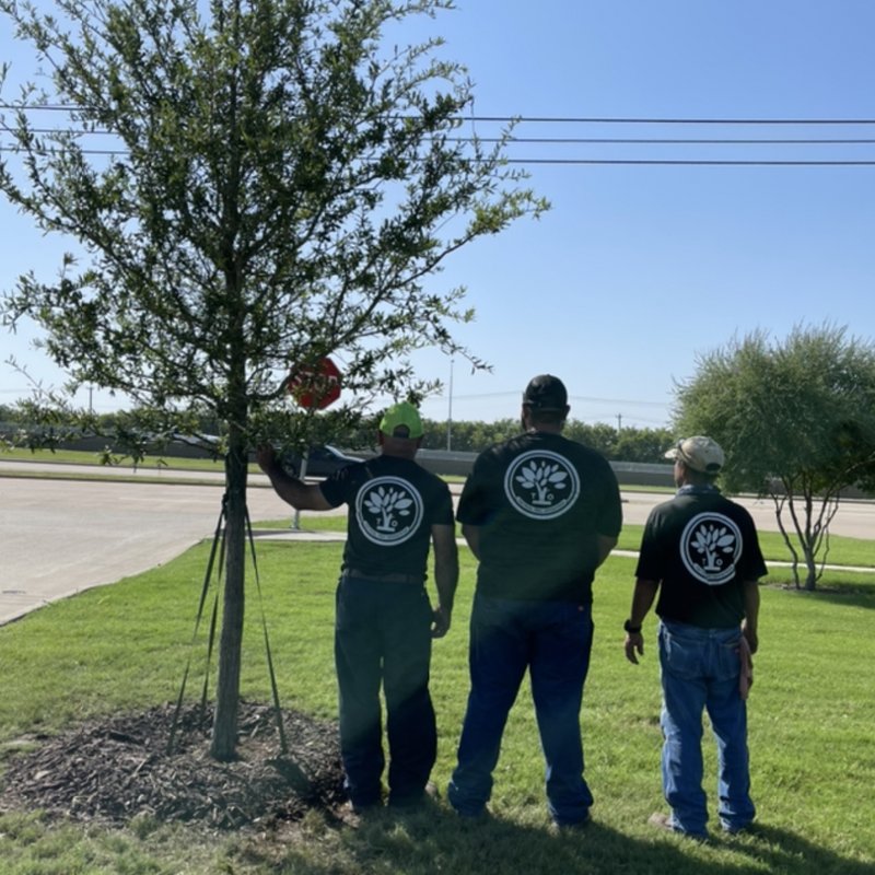 TACTICAL TREE OPERATIONS - Updated October 2025 - 90 Photos & 56 ...