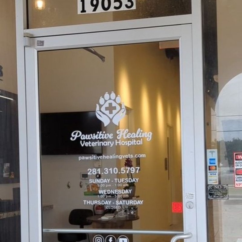 PAWSITIVE HEALING VETERINARY HOSPITAL - Updated December 2025 - 19053 I-45, Shenandoah, Texas ...