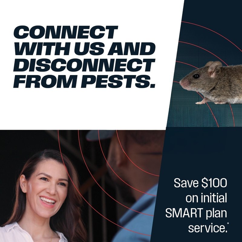 American Pest - Updated May 2026 - 51 Photos & 313 Reviews - 11820 W ...