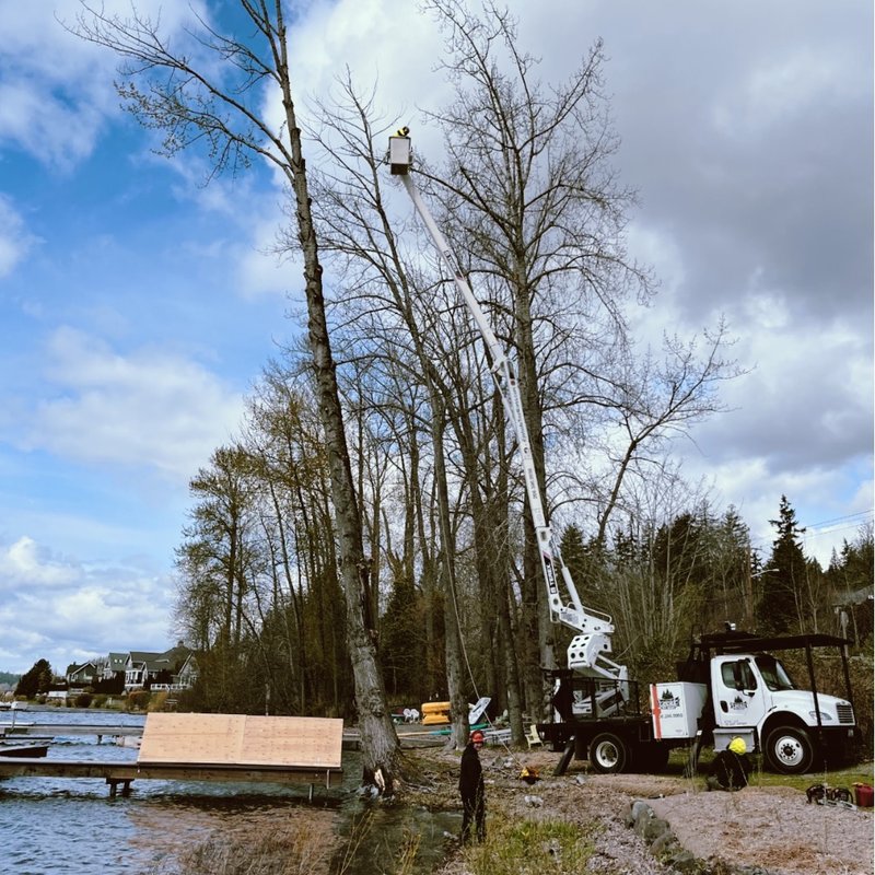 EASTSIDE TREE WORKS - Updated October 2025 - 64 Photos & 117 Reviews - 32517 NE 77th St ...