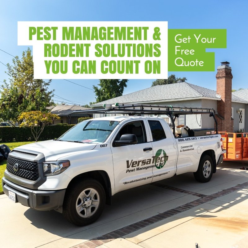 VERSA-TECH PEST MANAGEMENT - Updated November 2024 - 258 Photos & 204 ...