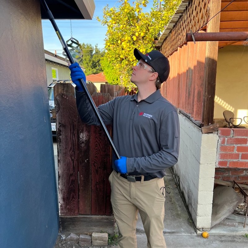 BANNER PEST SERVICES - Updated December 2025 - 18 Photos & 51 Reviews ...