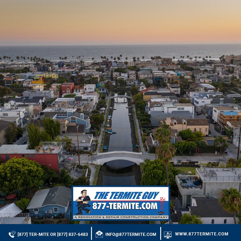 THE TERMITE GUY - Updated July 2025 - 80 Photos & 498 Reviews - 1440 S ...