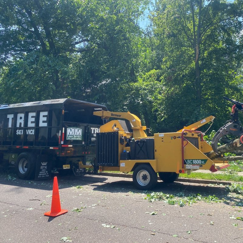 MM LAWN SERVICE AND LANDSCAPING - 84 Photos - Warminster, Pennsylvania ...