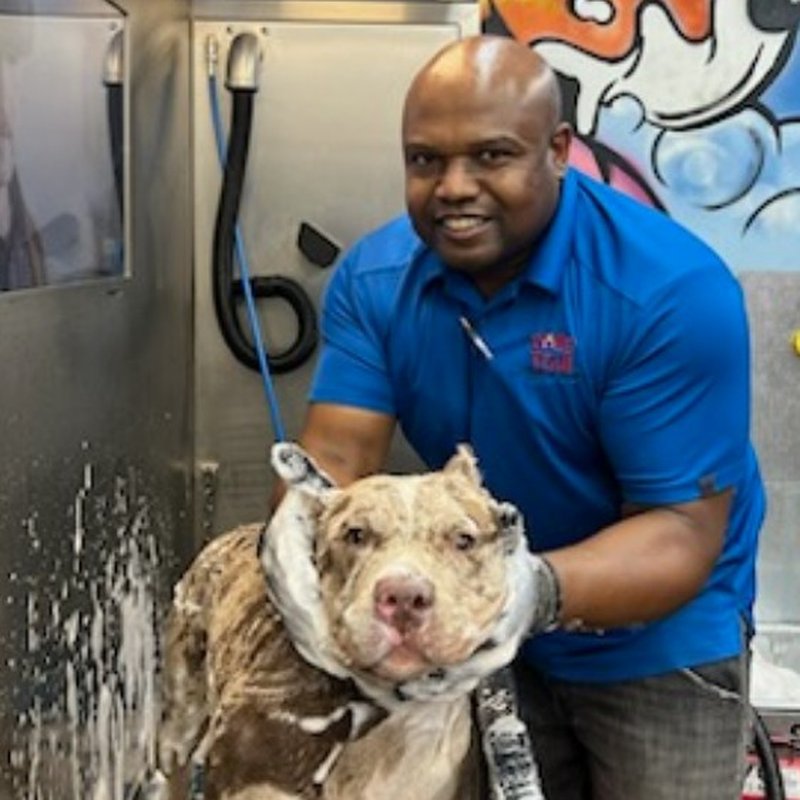 DAWG TEAM APPAREL USA - Updated June 2024 - 222 Photos & 11 Reviews ...