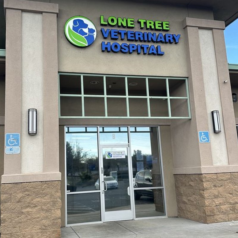 LONE TREE VETERINARY HOSPITAL & URGENT CARE - Updated January 2026 ...