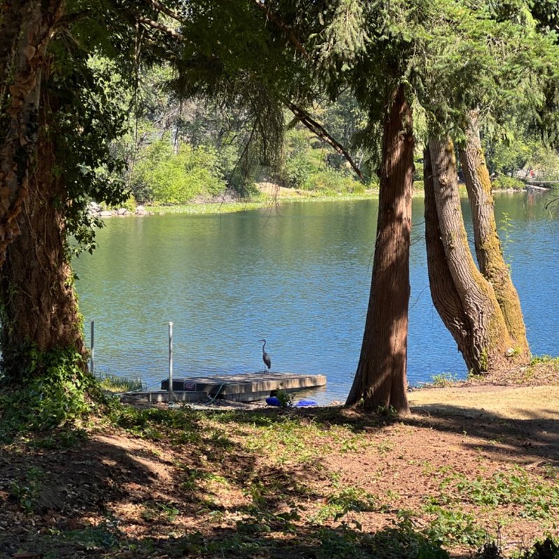 ANGLE LAKE RV PARK - Updated July 2024 - 2916 S 200th St, Seattle ...