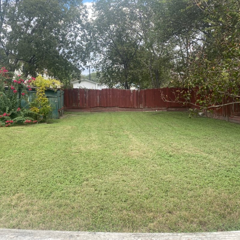 KICKIN’ GRASS - Updated May 2024 - 12 Photos - San Antonio, Texas ...