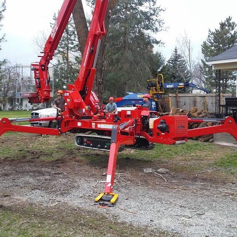 ALL SEASONS TREE SERVICE - Updated October 2025 - 50 Photos & 17 ...