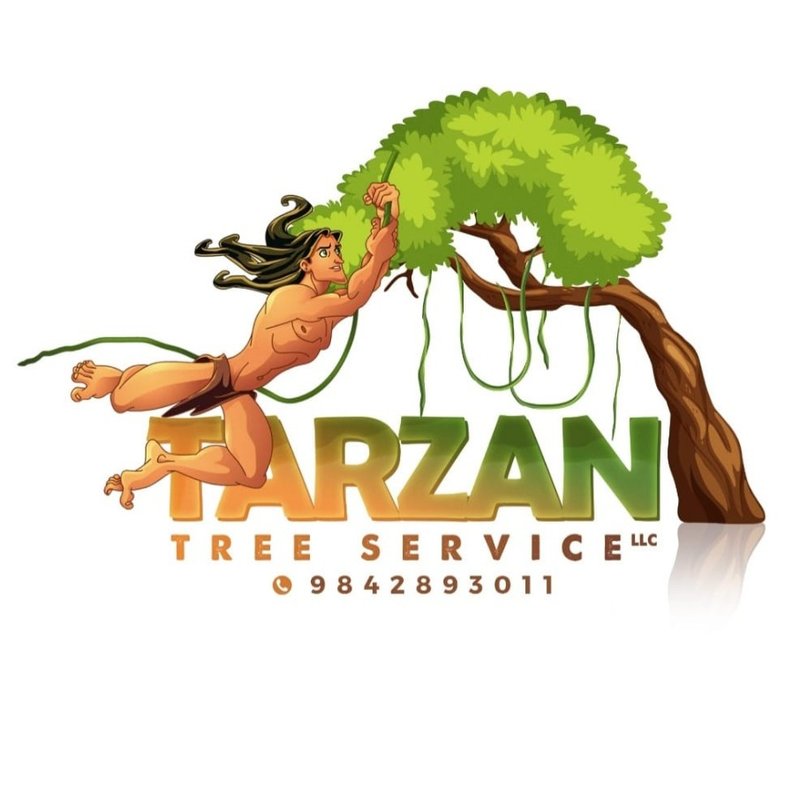 TARZAN TREE SERVICE - Updated December 2025 - 18 Photos - Raleigh ...