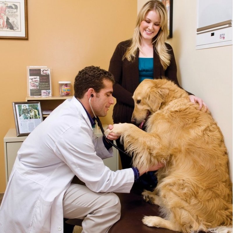 SLATON VETERINARY HOSPITAL - Updated December 2025 - 102 Photos & 191 ...