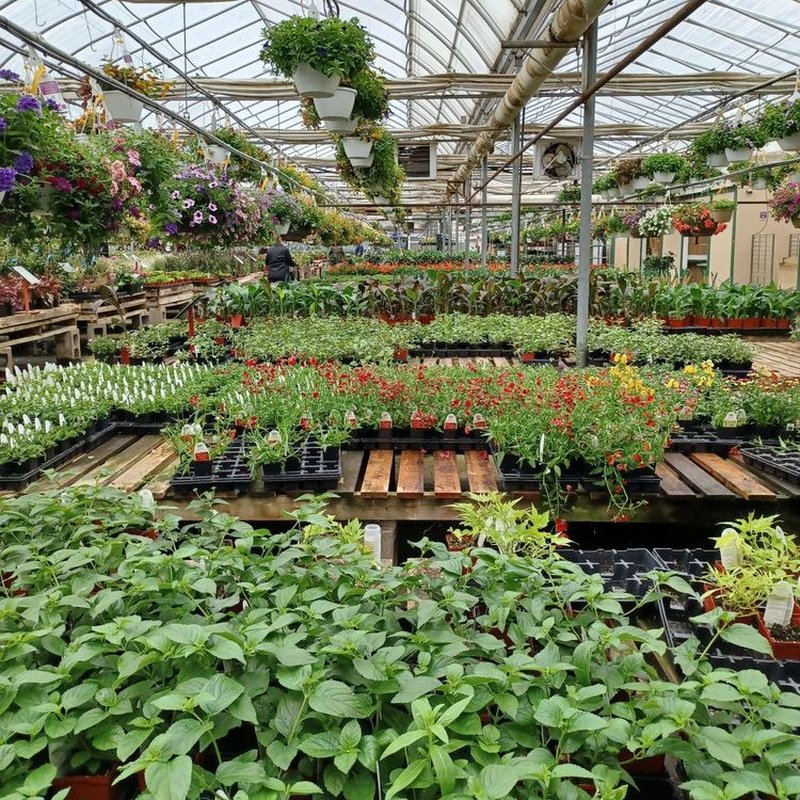 SALISBURY GREENHOUSES - Updated June 2026 - 60 Photos & 30 Reviews ...