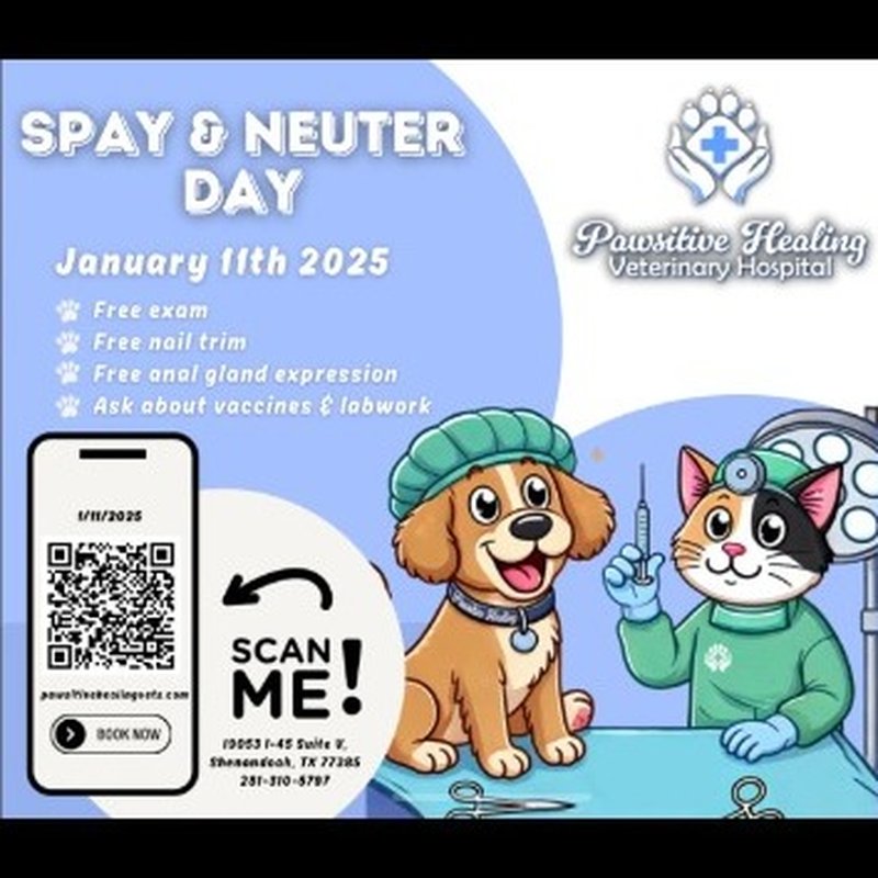 PAWSITIVE HEALING VETERINARY HOSPITAL - Updated September 2025 - 19053 I-45, Shenandoah, Texas ...