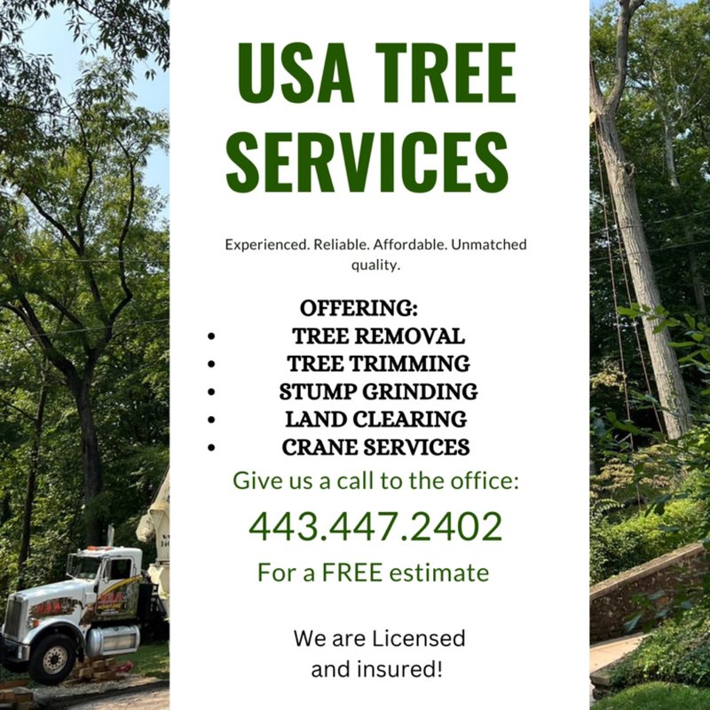 USA TREE SERVICES with 13 Reviews & 160 Photos - 719 Evelyn Ave ...