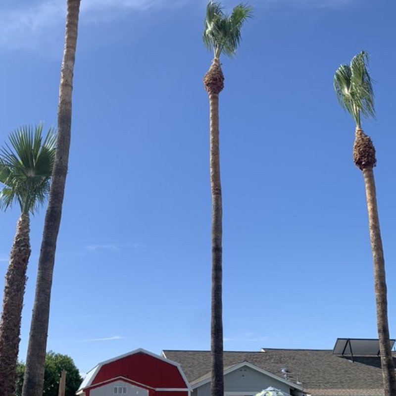 GABRIEL LANDSCAPING - Updated January 2026 - 154 Photos & 65 Reviews ...