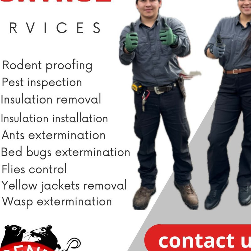 KING PESTS CONTROL - Updated September 2024 - 23 Photos & 12 Reviews ...