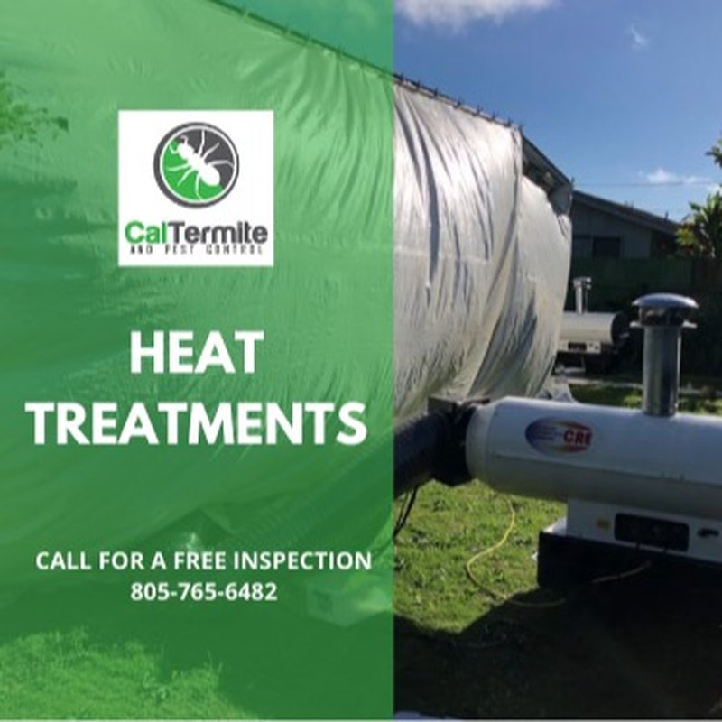 CAL TERMITE AND PEST CONTROL - Updated October 2025 - 705 Photos & 310 ...