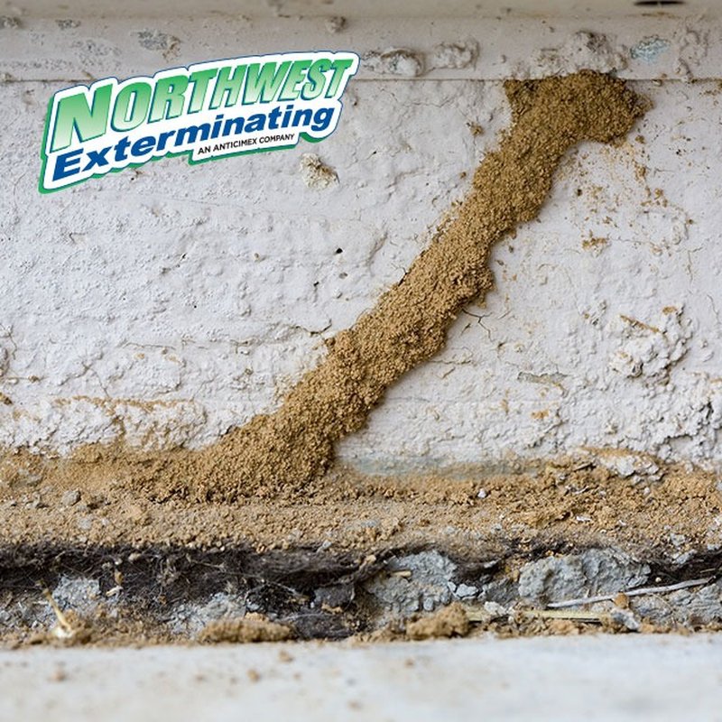 NORTHWEST EXTERMINATING - Updated October 2025 - 11 Photos & 27 Reviews ...