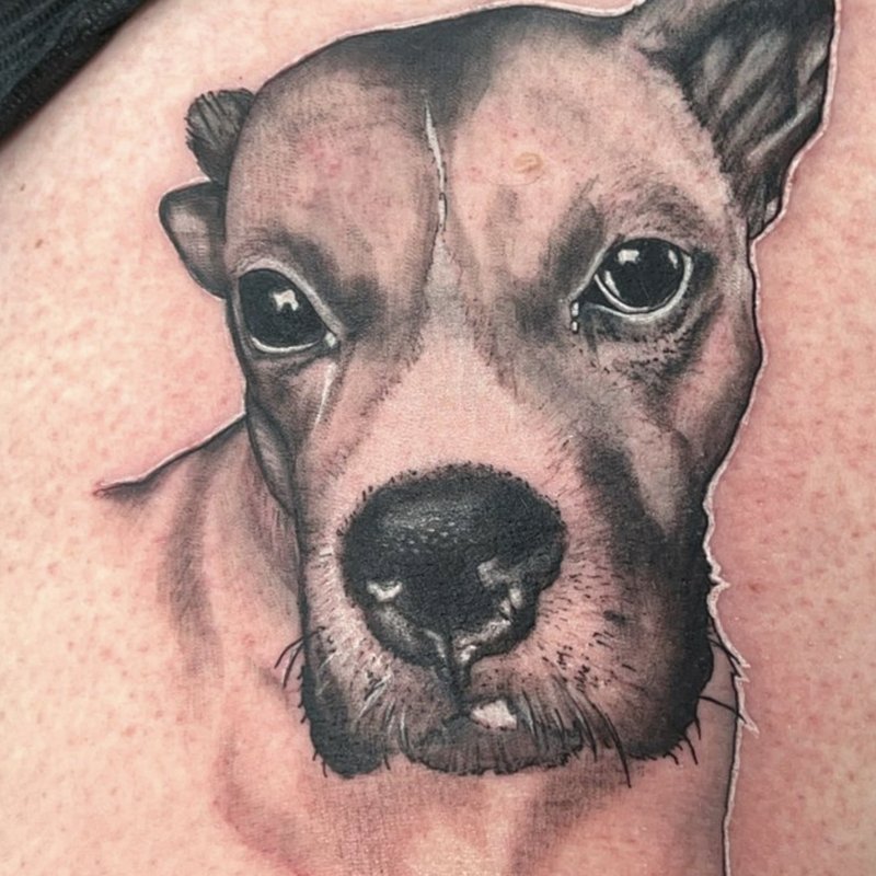 REVOLUTION TATTOO & BODY PIERCING - Updated September 2025 - 183 Photos ...