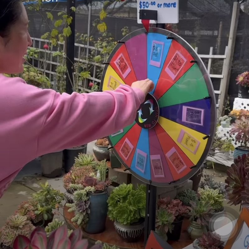 SHUNA’S SUCCULENT HOUSE - Updated December 2025 - 169 Photos & 47 ...