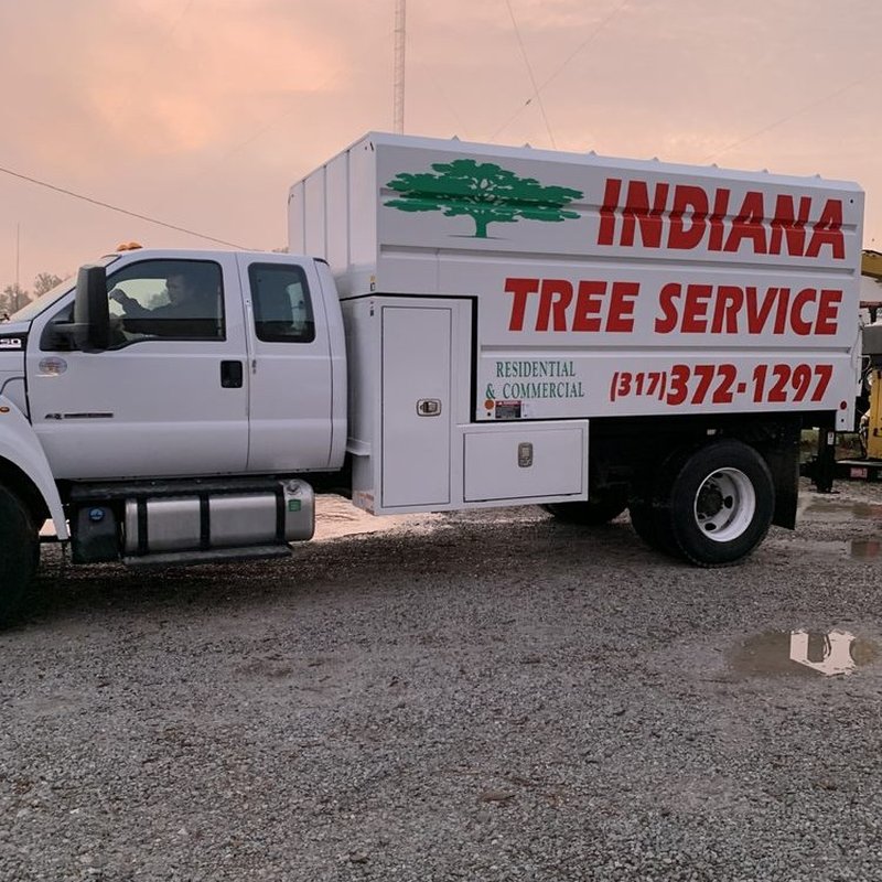 INDIANA TREE SERVICE - Updated November 2024 - 22 Photos - 507 S Post ...
