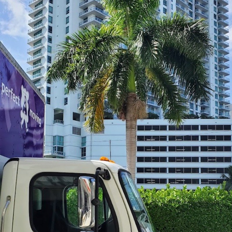 PERFECT MOVING - Updated December 2025 - 266 Photos & 386 Reviews - 414 ...