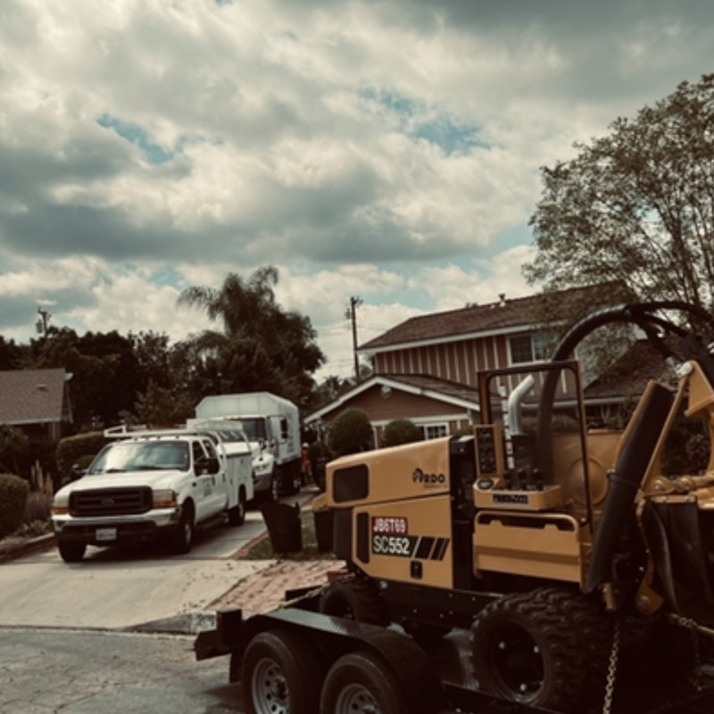 M&M TREE SERVICE - Updated December 2025 - 321 Photos & 163 Reviews ...