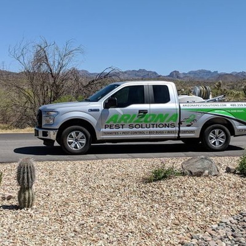 ARIZONA TERMITE & PEST SOLUTIONS - Updated May 2024 - 509 Photos & 77 ...