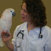 DUKE ANIMAL HOSPITAL - Updated December 2025 - 42 Photos & 257 Reviews ...