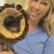 COLLIER SPAY NEUTER CLINIC - Updated December 2025 - 11965 Collier Blvd ...