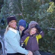 SILVER MAPLE INN - Updated January 2026 - 45 Photos & 56 Reviews - 310 ...