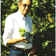 VAN RUITEN FAMILY WINERY - Updated December 2025 - 253 Photos & 146 ...