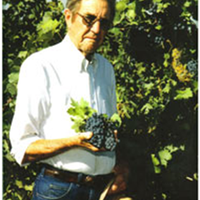 VAN RUITEN FAMILY WINERY - Updated August 2025 - 248 Photos & 145 ...