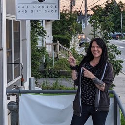 MEOW CAT LOUNGE - Updated August 2025 - 50 Photos & 12 Reviews - 630 ...