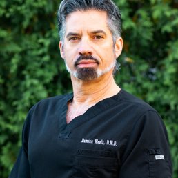 DAMIAN D MEOLA, DMD & ASSOCIATES - Updated August 2025 - 105 Reviews ...