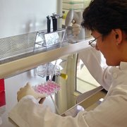 PRIMEX CLINICAL LABORATORIES - Updated January 2026 - 58 Reviews ...