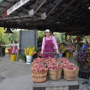 COREY LAKE ORCHARDS - Updated December 2025 - 14 Photos & 15 Reviews ...