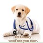 ADVANTAGE VETERINARY CENTER - Updated September 2025 - 17 Photos & 29 ...