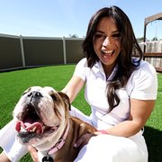 BIG BULLY TURF - Updated December 2025 - 580 Photos & 202 Reviews - 350 ...