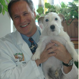 EAST BAY VETERINARY HOSPITAL - Updated August 2025 - 22 Photos & 24 ...